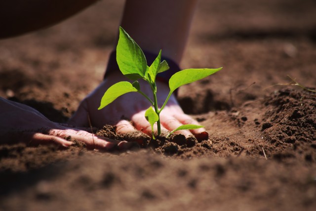 ESG Foundation – Economic Development Projects